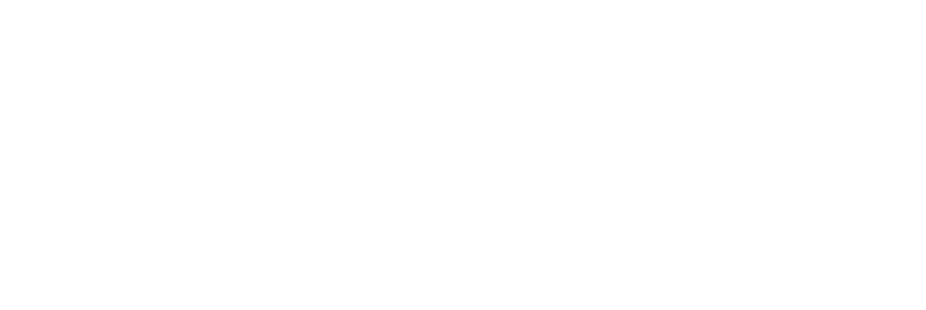 Vidas Diagnósticos